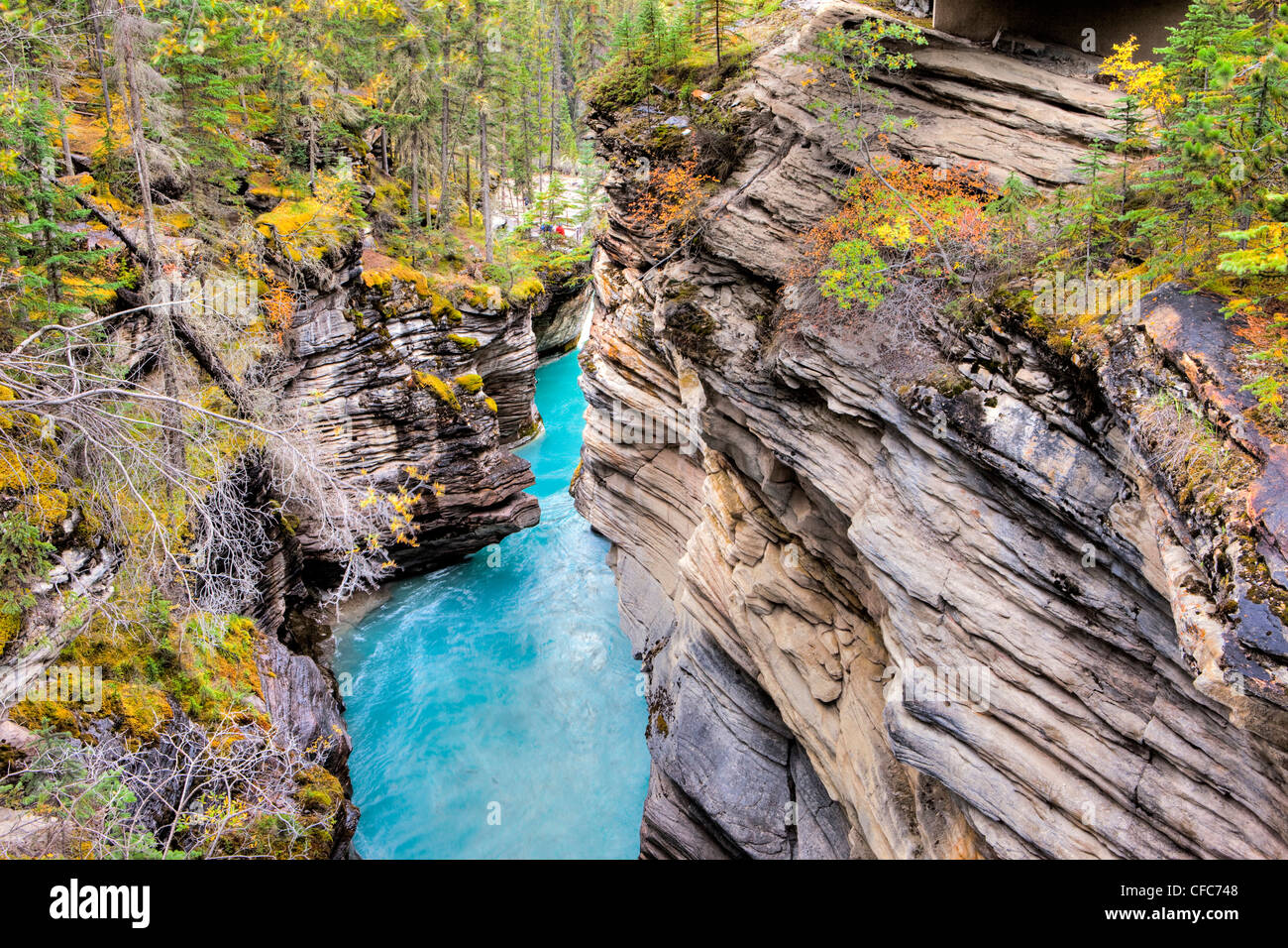 Athabasca River Gorge, Jasper National Park, Alberta, Canada Stock ...