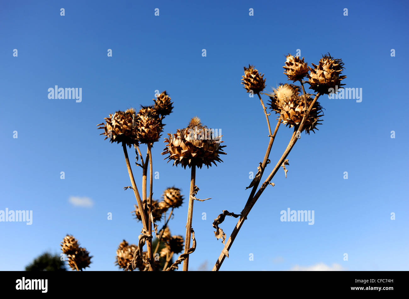 Human nature garden horsham uk hi-res stock photography and images - Alamy