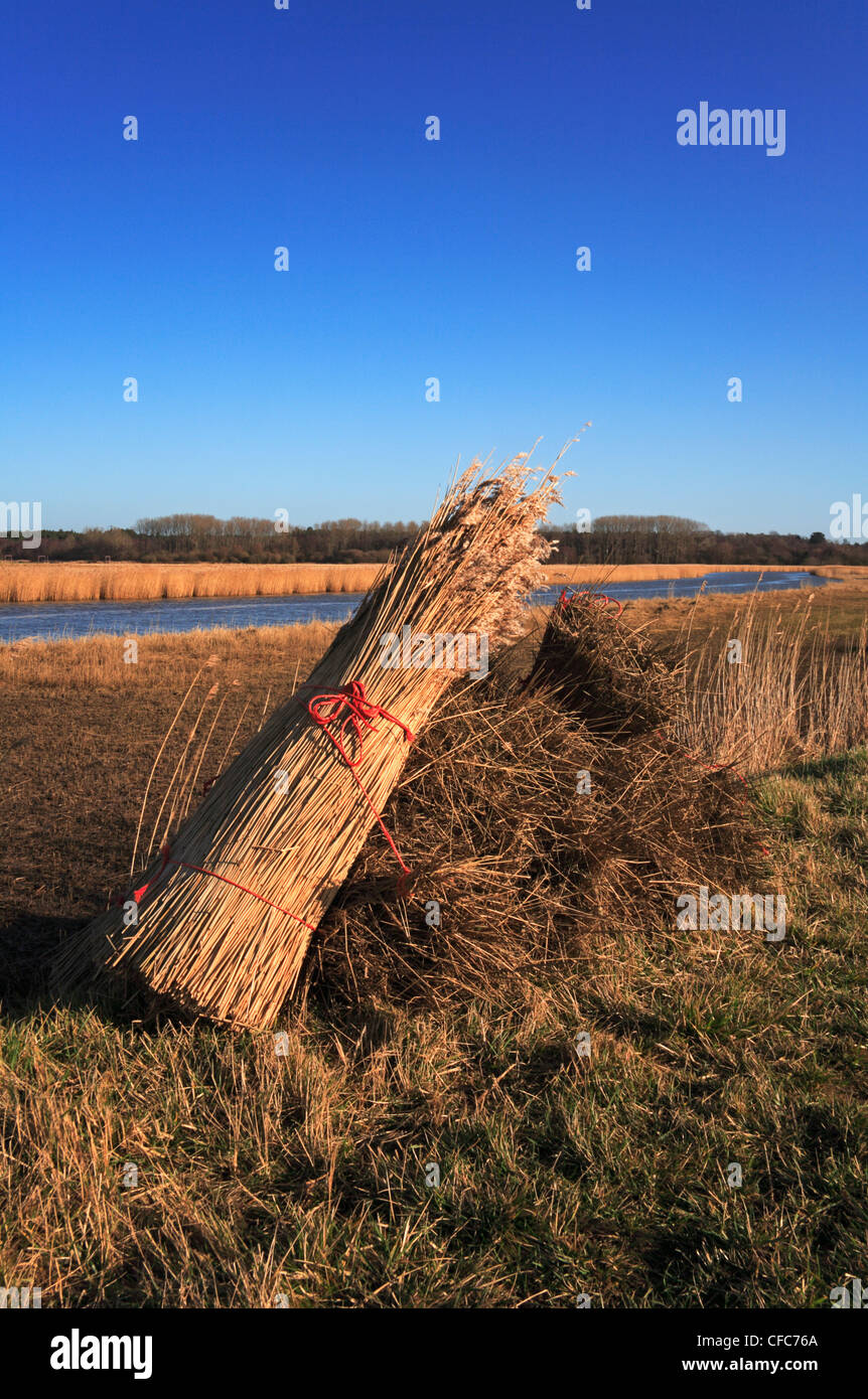 Reed bundle hi-res stock photography and images - Alamy