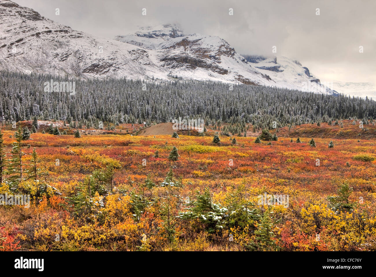 The First Snow High Resolution Stock Photography and Images - Alamy