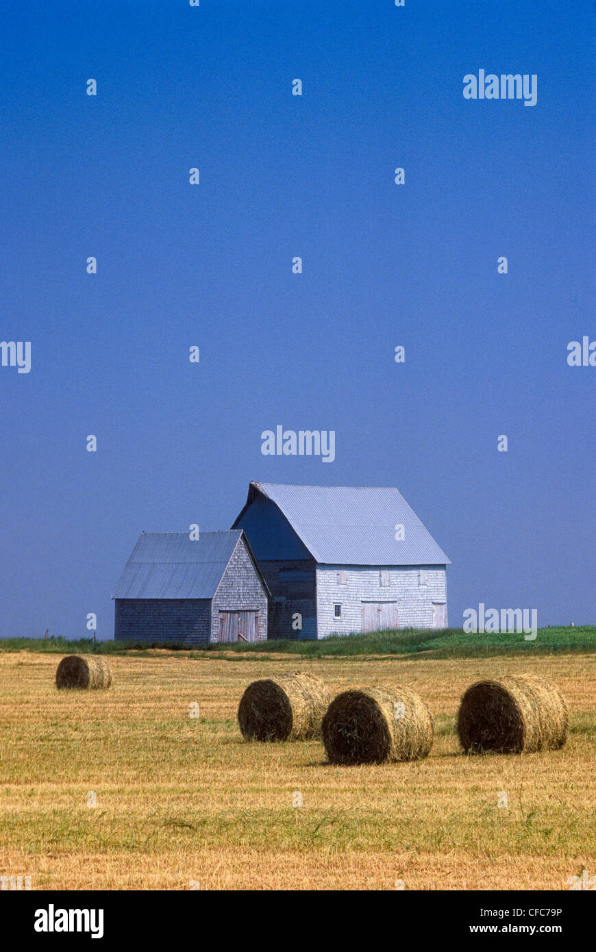 Farm buildings and bails of hay, Summerfield, Prince Edward Island ...