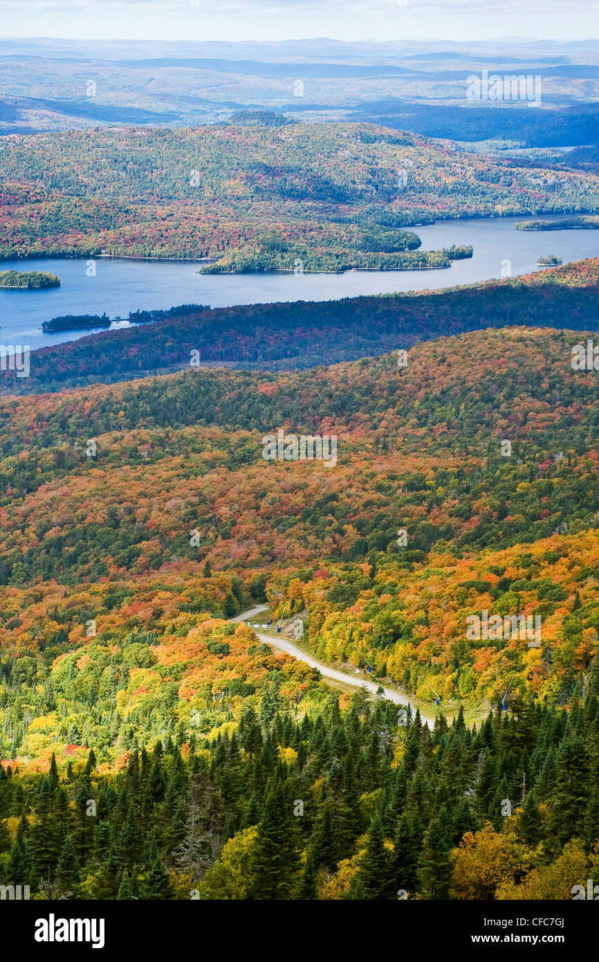 Small stretch of dirt road in fall-coloured forest surrounding Mont ...