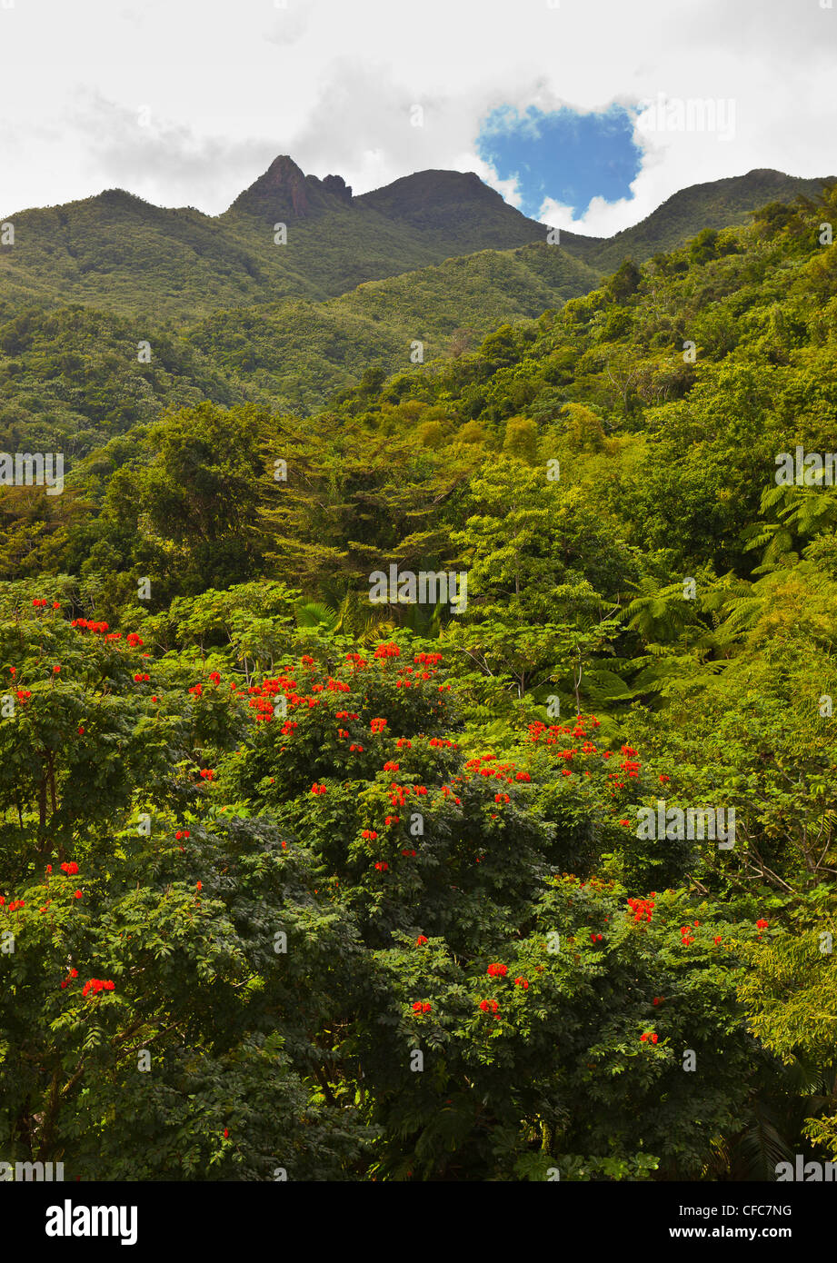 Los picachos hi-res stock photography and images - Alamy