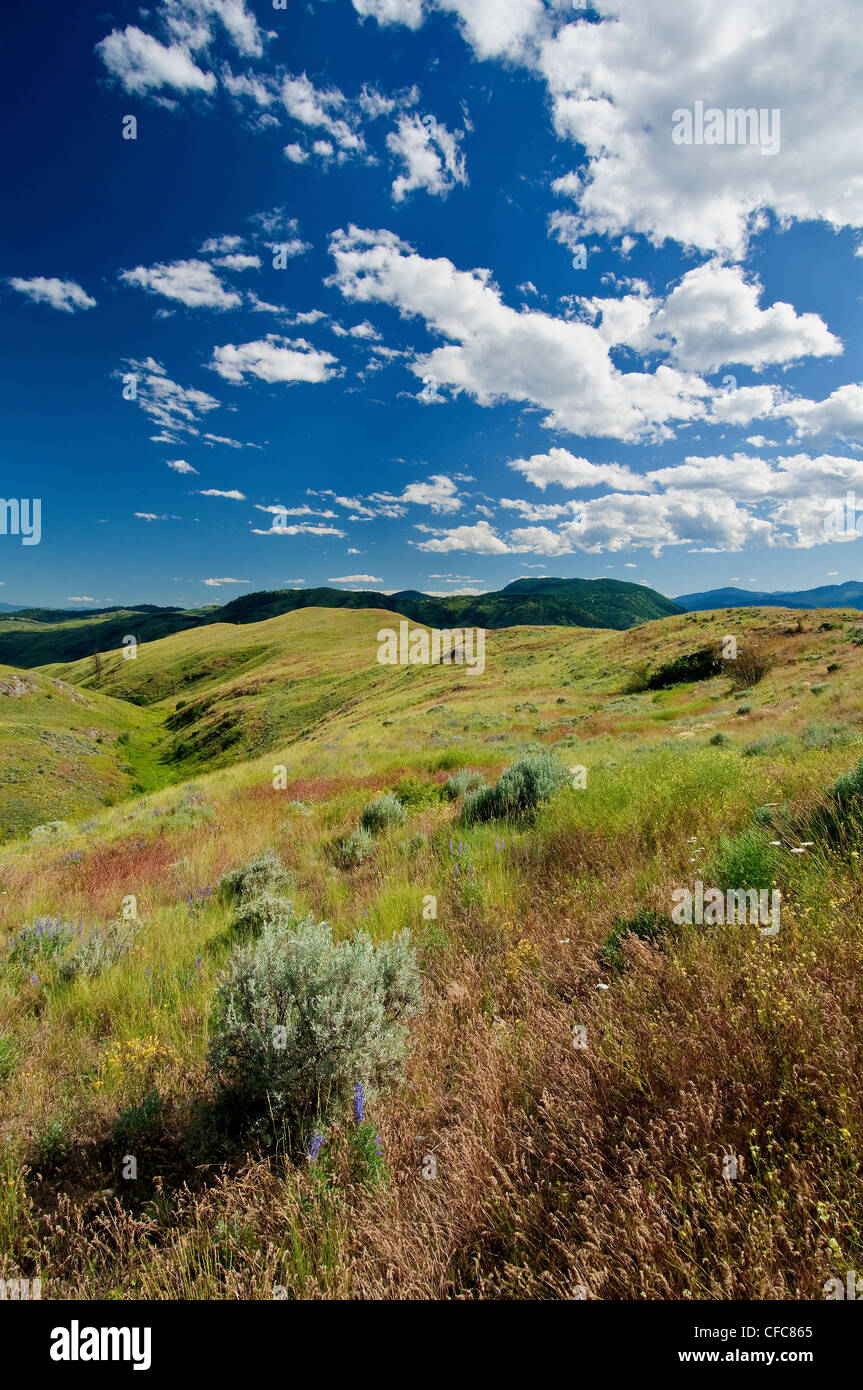 South okanagan grassland protected area hi-res stock photography and ...