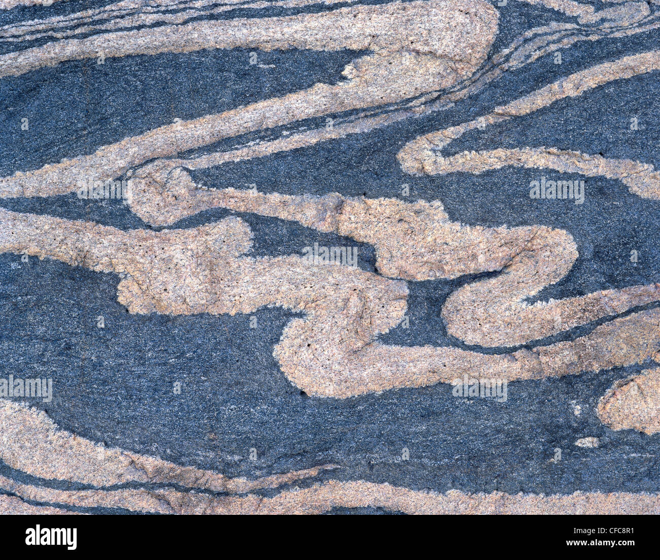 veins of quartz in rock Stock Photo - Alamy