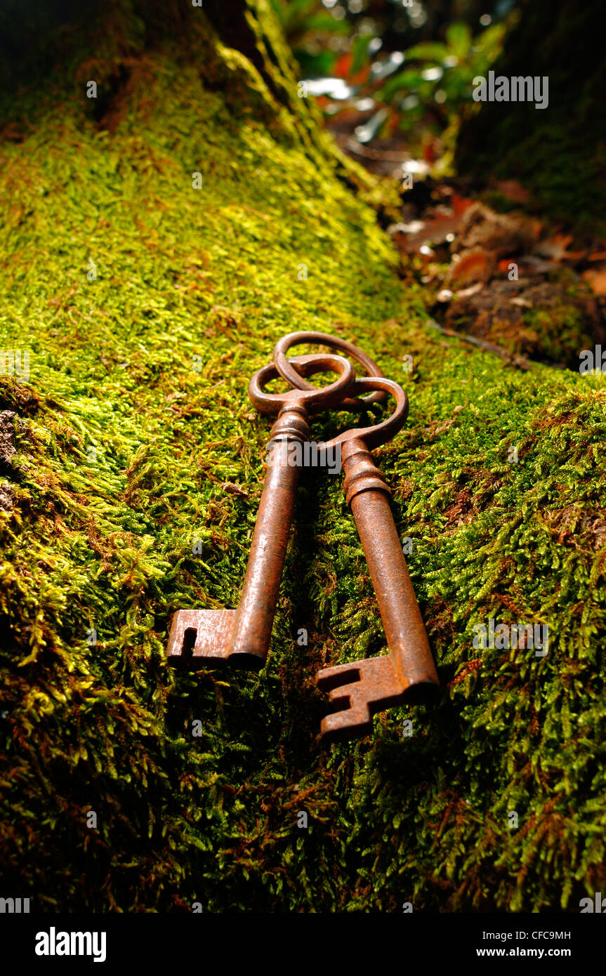 See ones way old rusted rust key aged antique latchkey hi-res stock ...