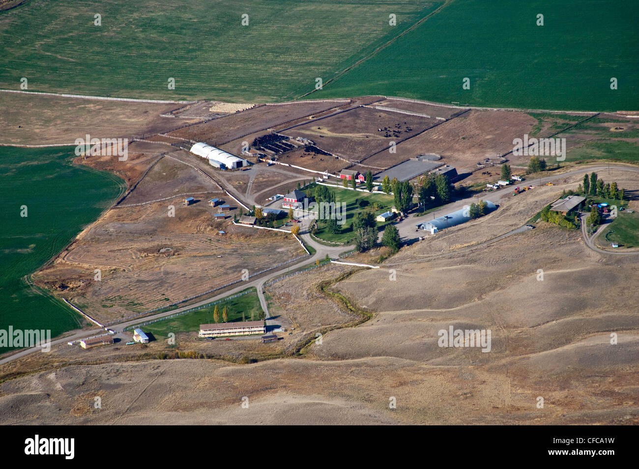 British gang hi-res stock photography and images - Alamy