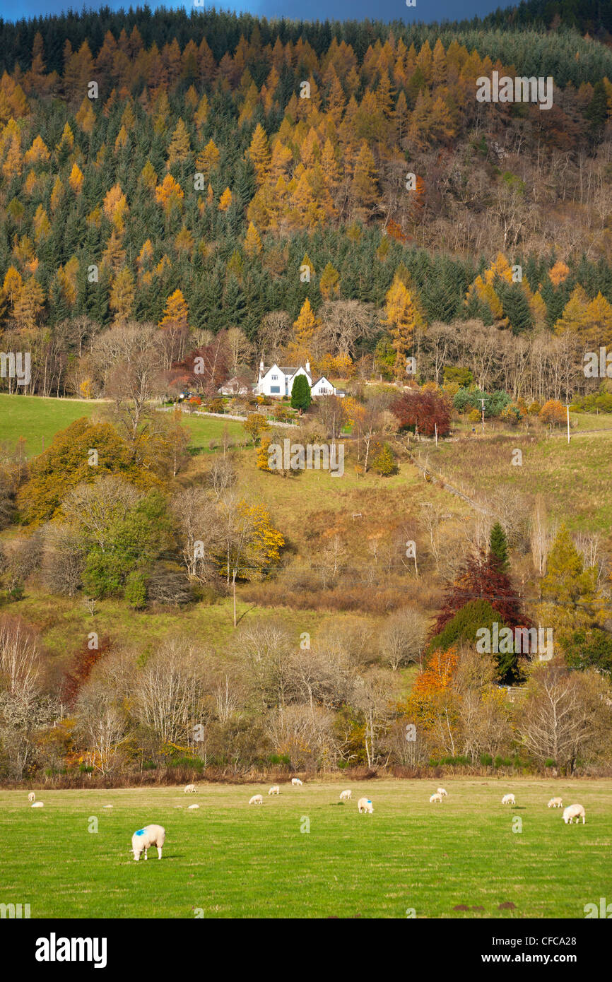 Scottish autumn landscape hi-res stock photography and images - Alamy
