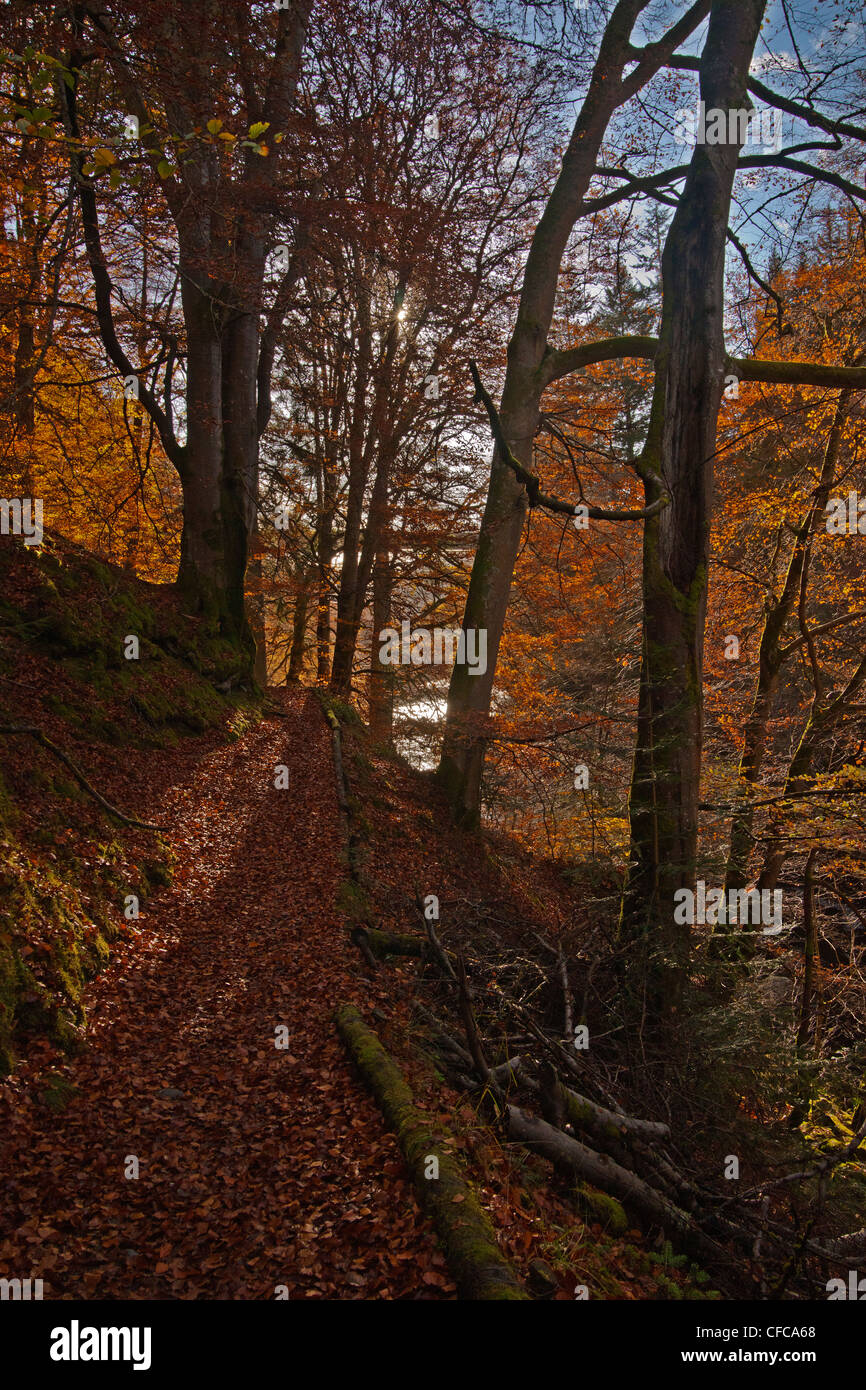 Autumn landscape colours, Killiecrankie gorge pass, Perthshire ...