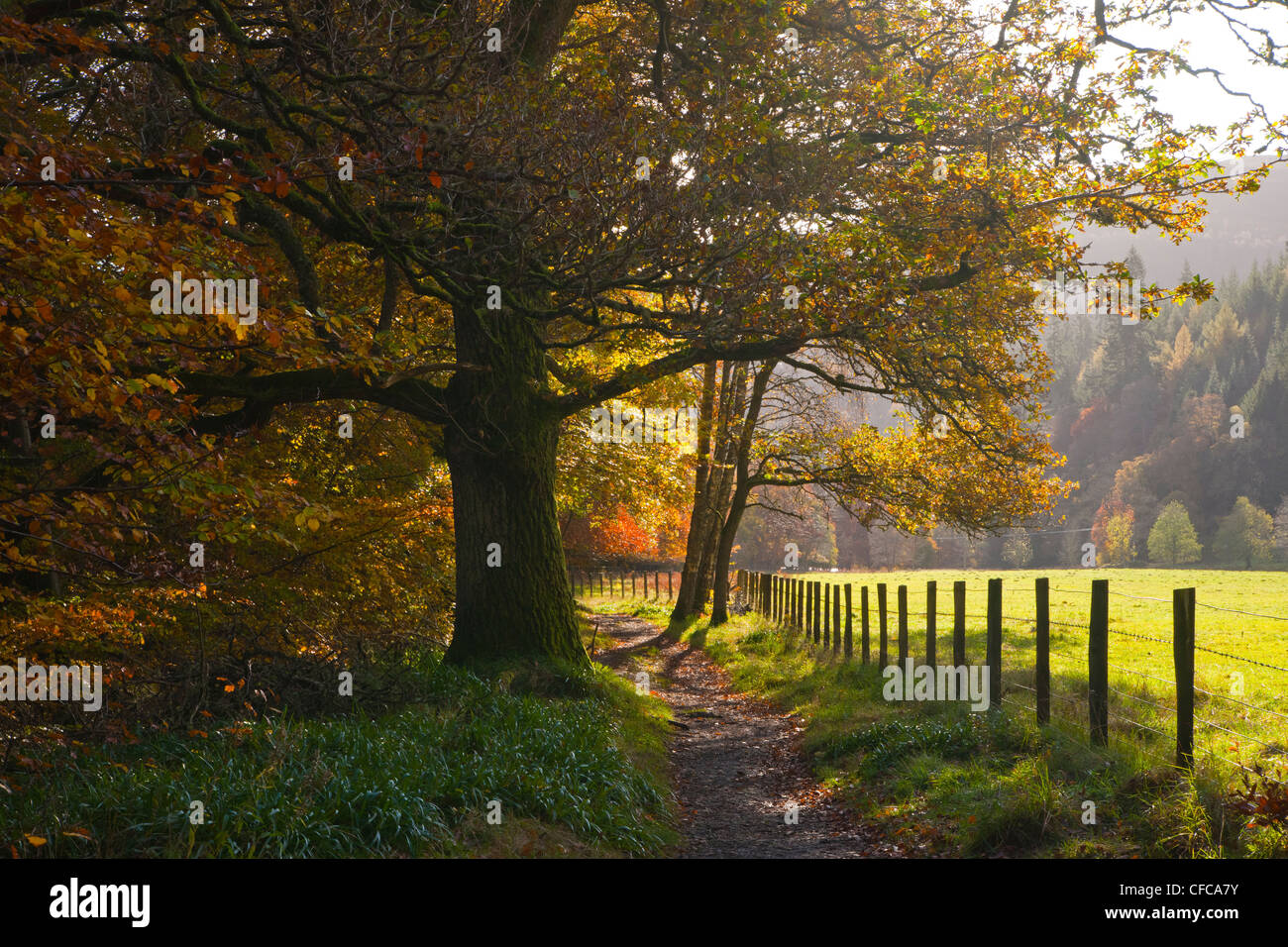 Autumn landscape colours, Killiecrankie gorge pass, Perthshire ...