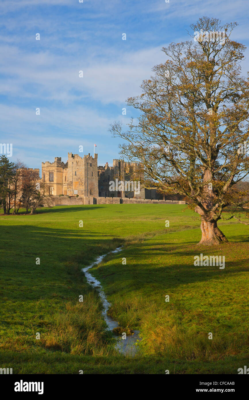 Raby Castle, County Durham, England Stock Photo - Alamy