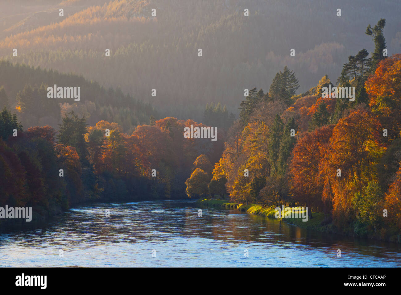 Autumn landscape colours, River Tay at Dunkeld, Perthshire, Scotland ...