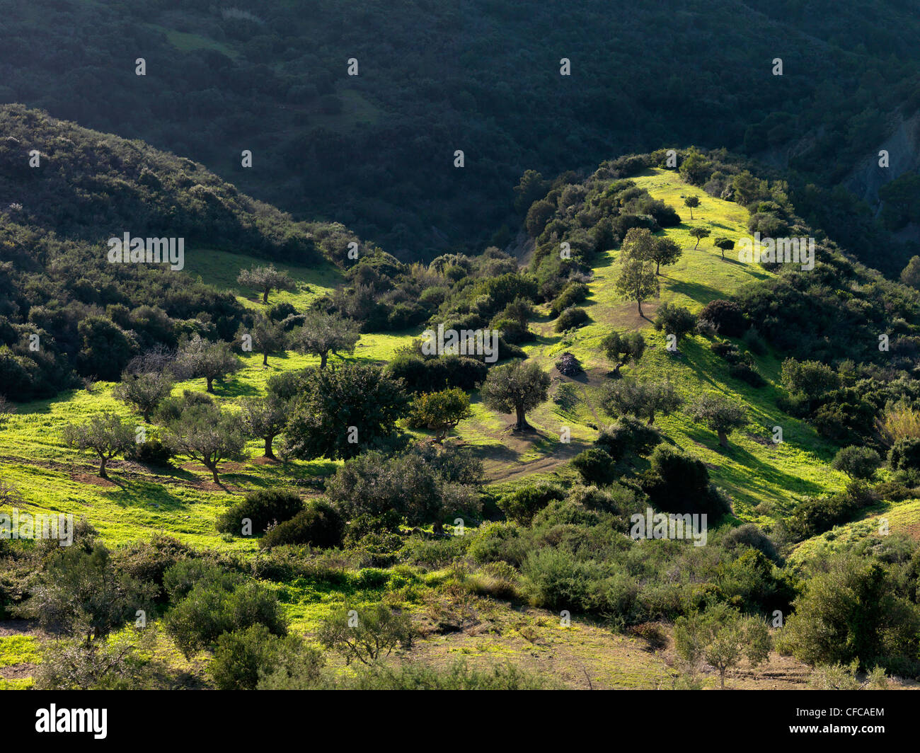 Agritas hi-res stock photography and images - Alamy