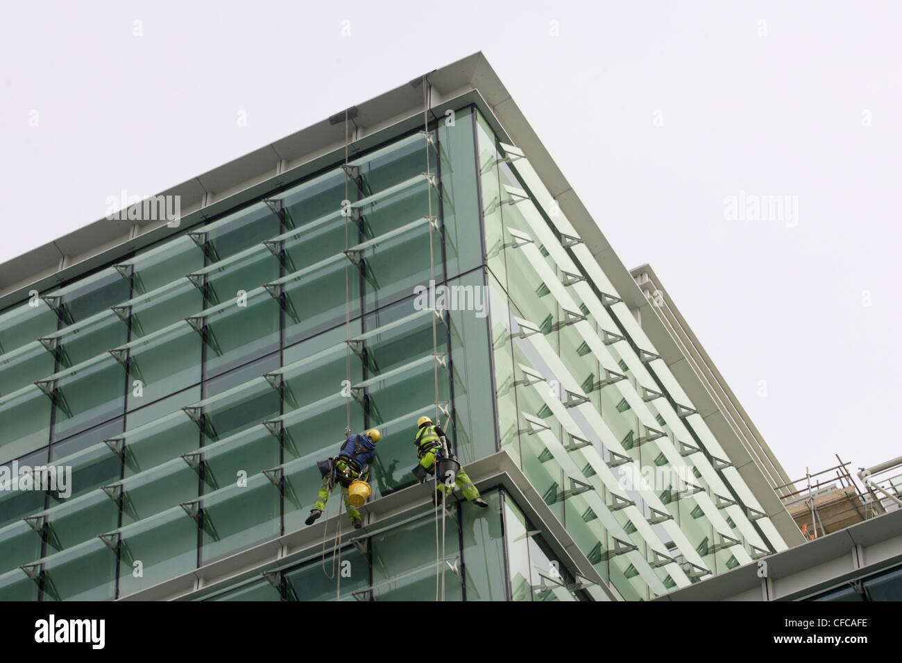 Clean windows by climbing use ropes harness hi-res stock photography ...
