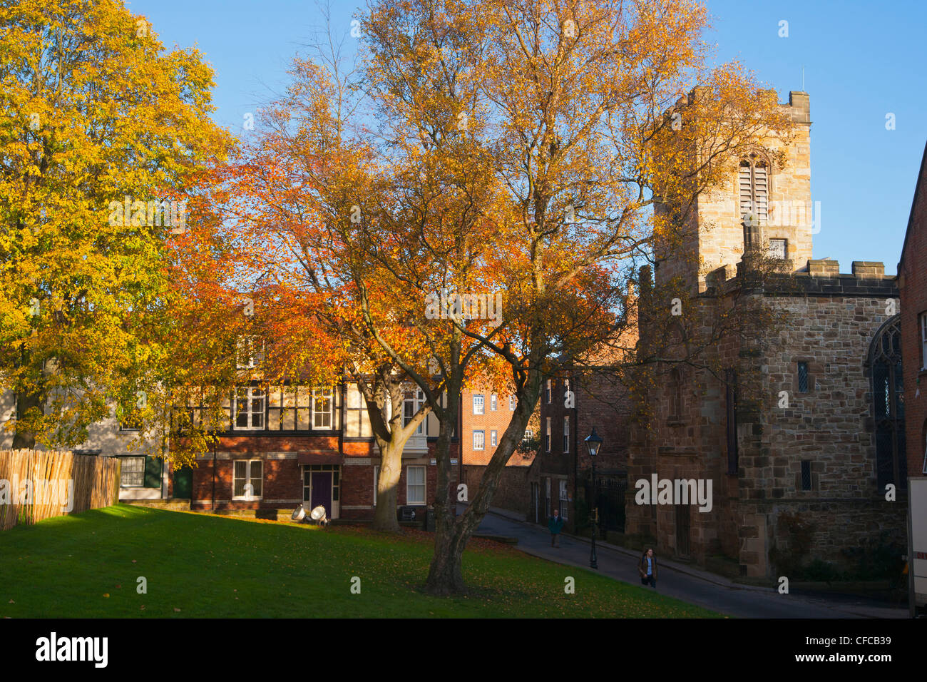 Durham cow hi-res stock photography and images - Alamy