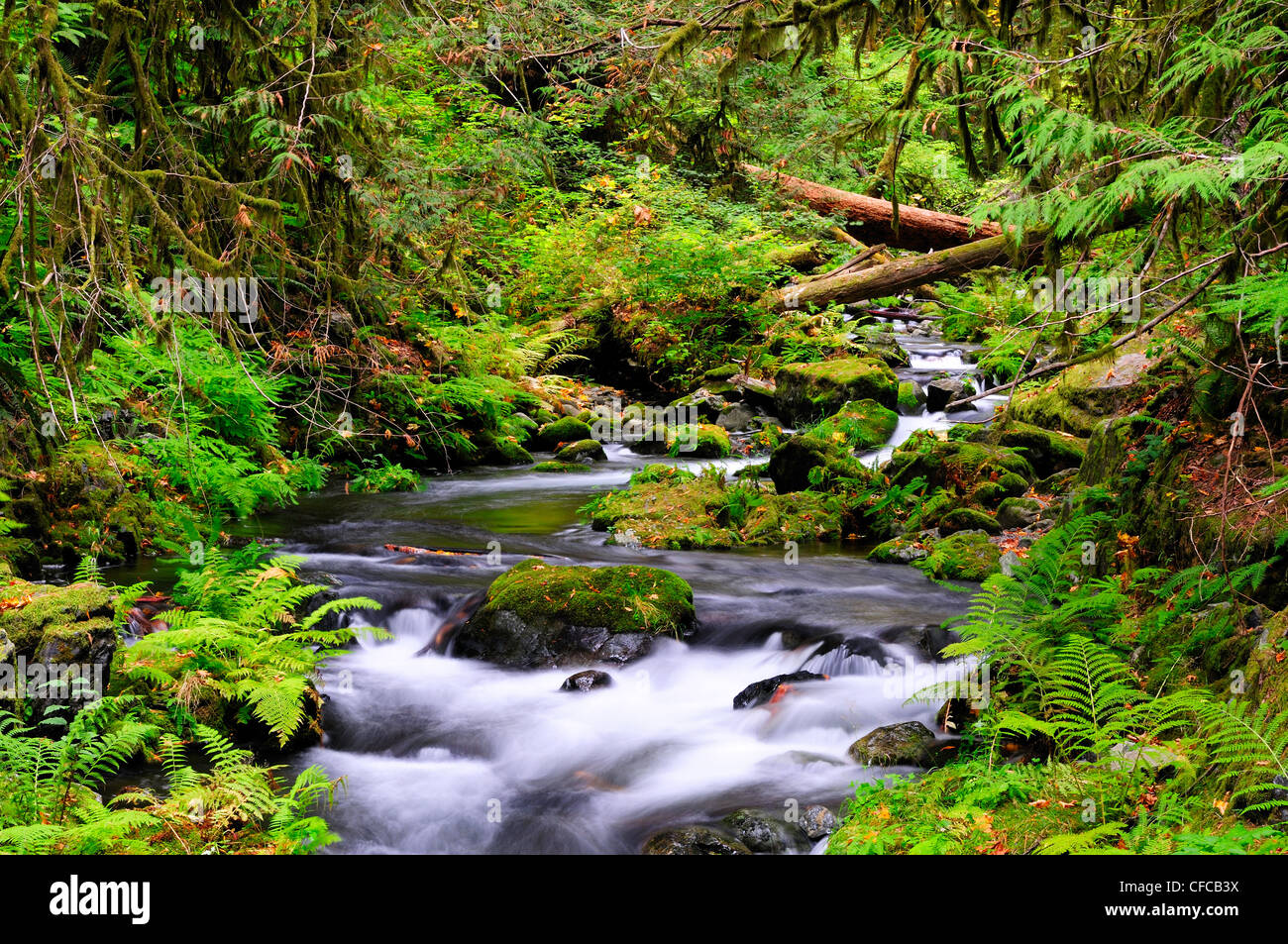 Goldstream River in Goldstream Provincial Park near Victoria, British ...