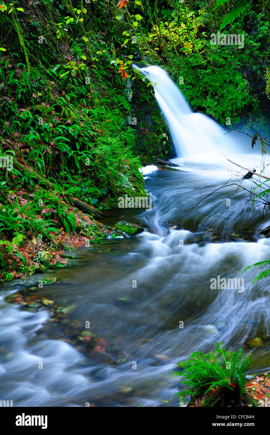 Goldstream Falls in Goldstream Provincial Park in Victoria, British ...