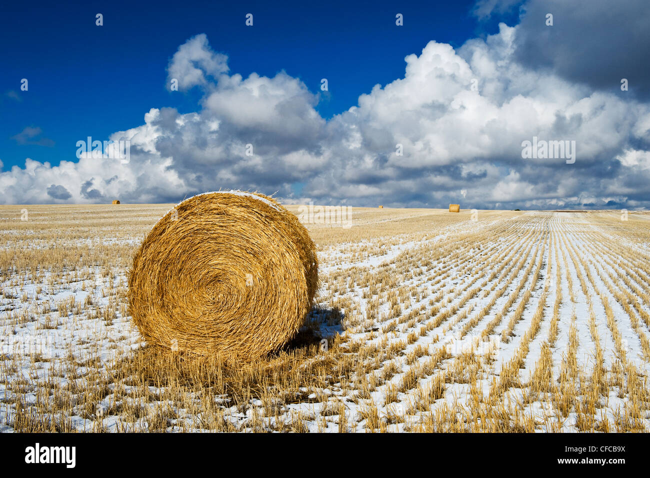 wheat straw roll, stubble and sky with clouds, near Hazenmore ...