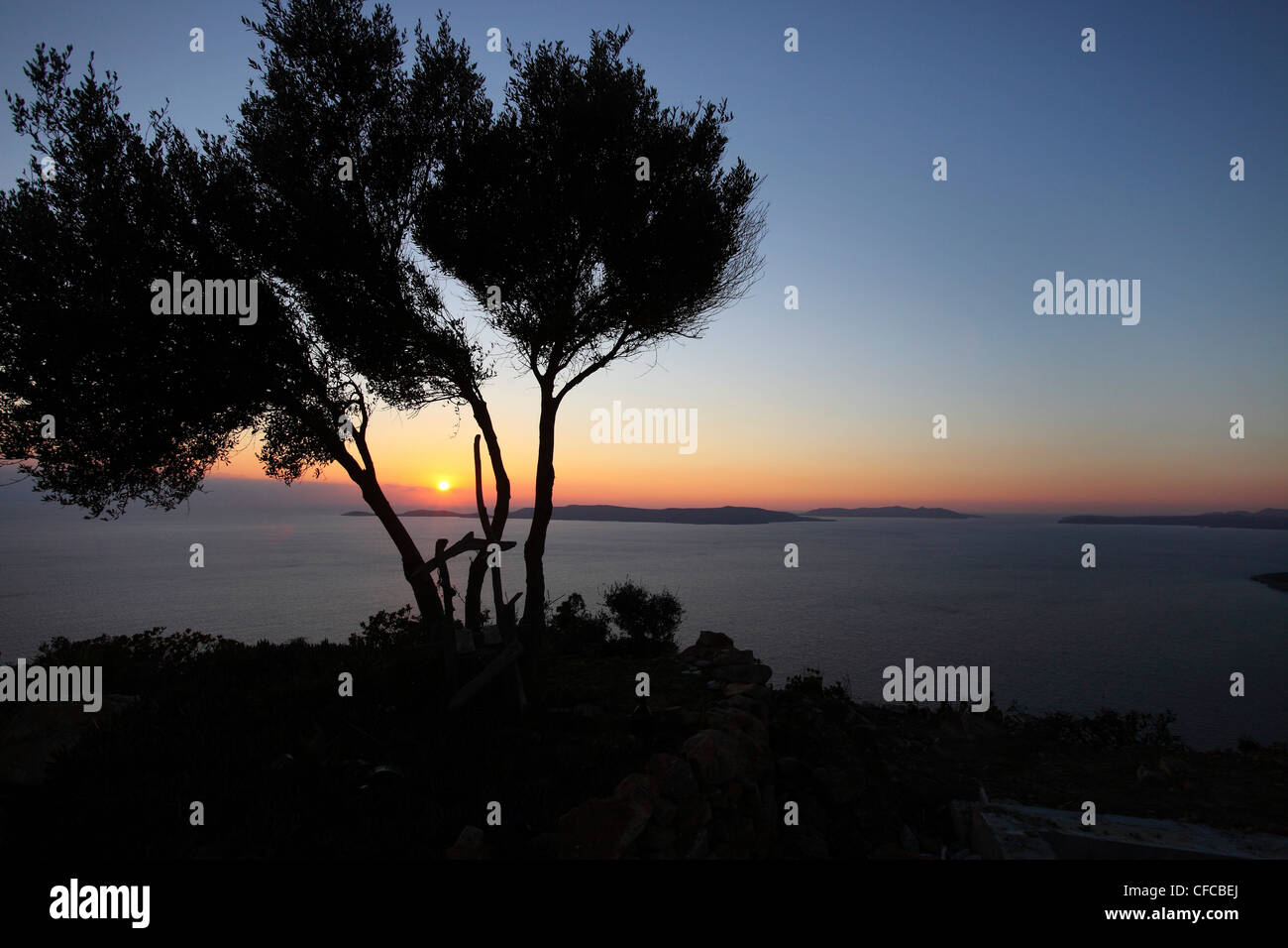 Agritas hi-res stock photography and images - Alamy