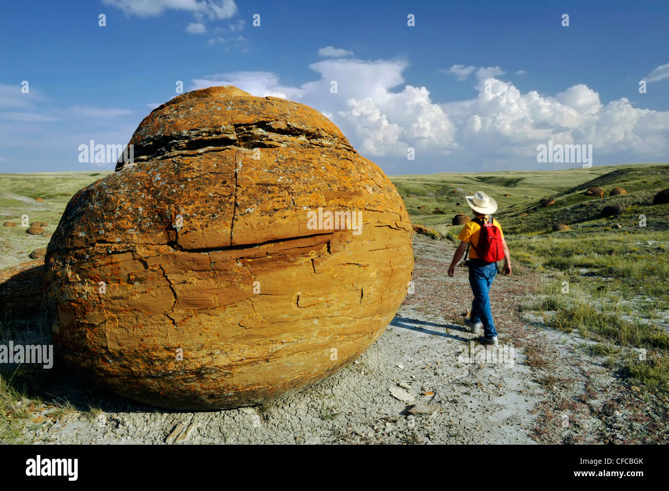 Sandstone concretions in Red Rock Coulee Natural Area, Alberta, Canada ...