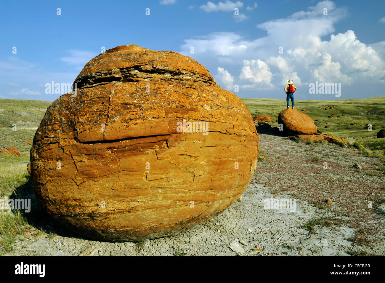 Concreation hi-res stock photography and images - Alamy