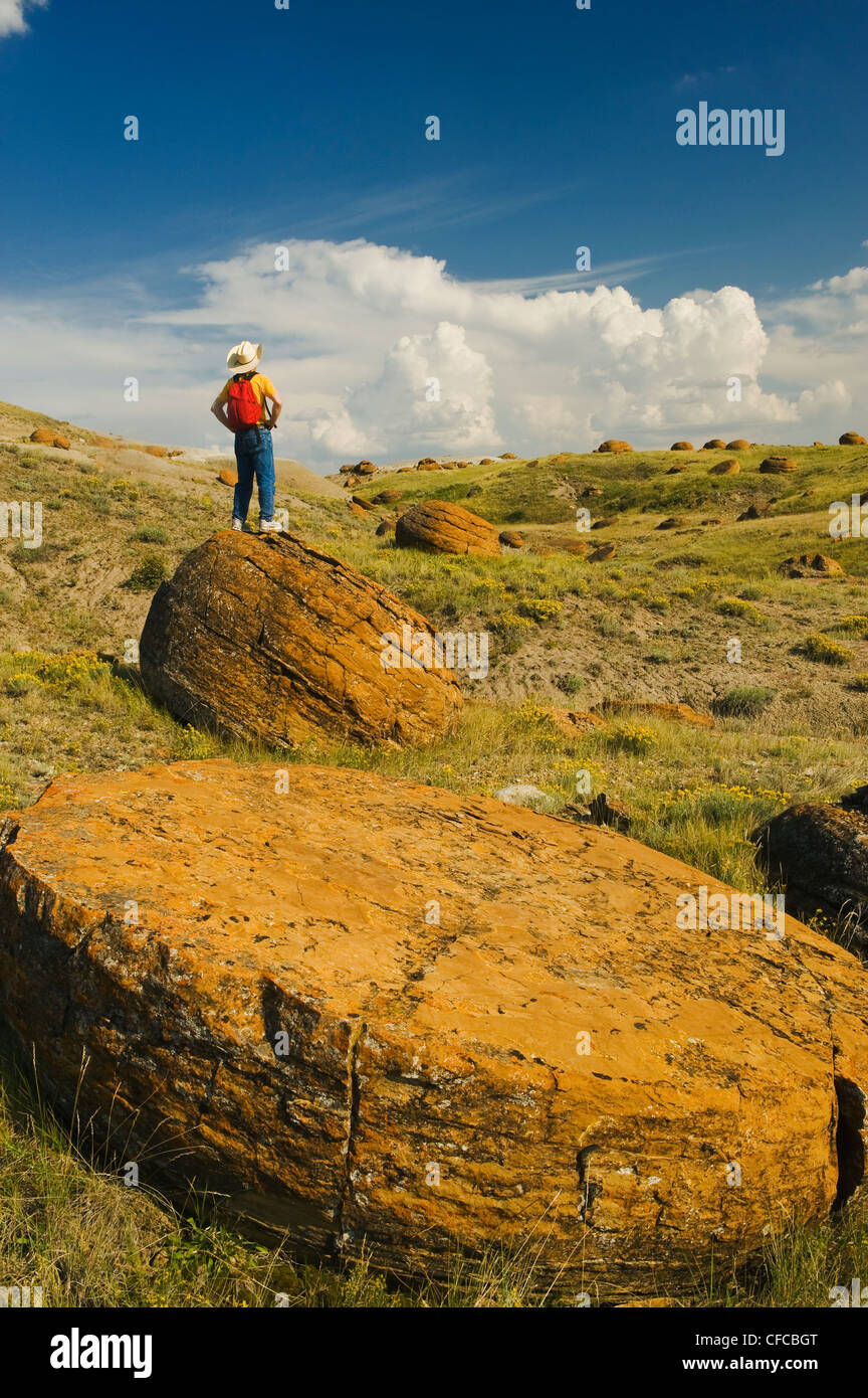 Sandstone concretions in Red Rock Coulee Natural Area, Alberta, Canada ...