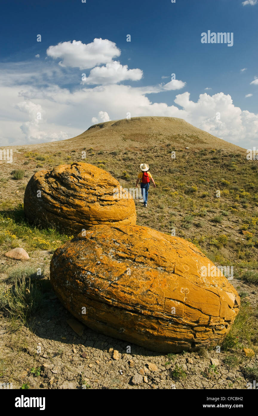 Sandstone concretions in Red Rock Coulee Natural Area, Alberta, Canada ...