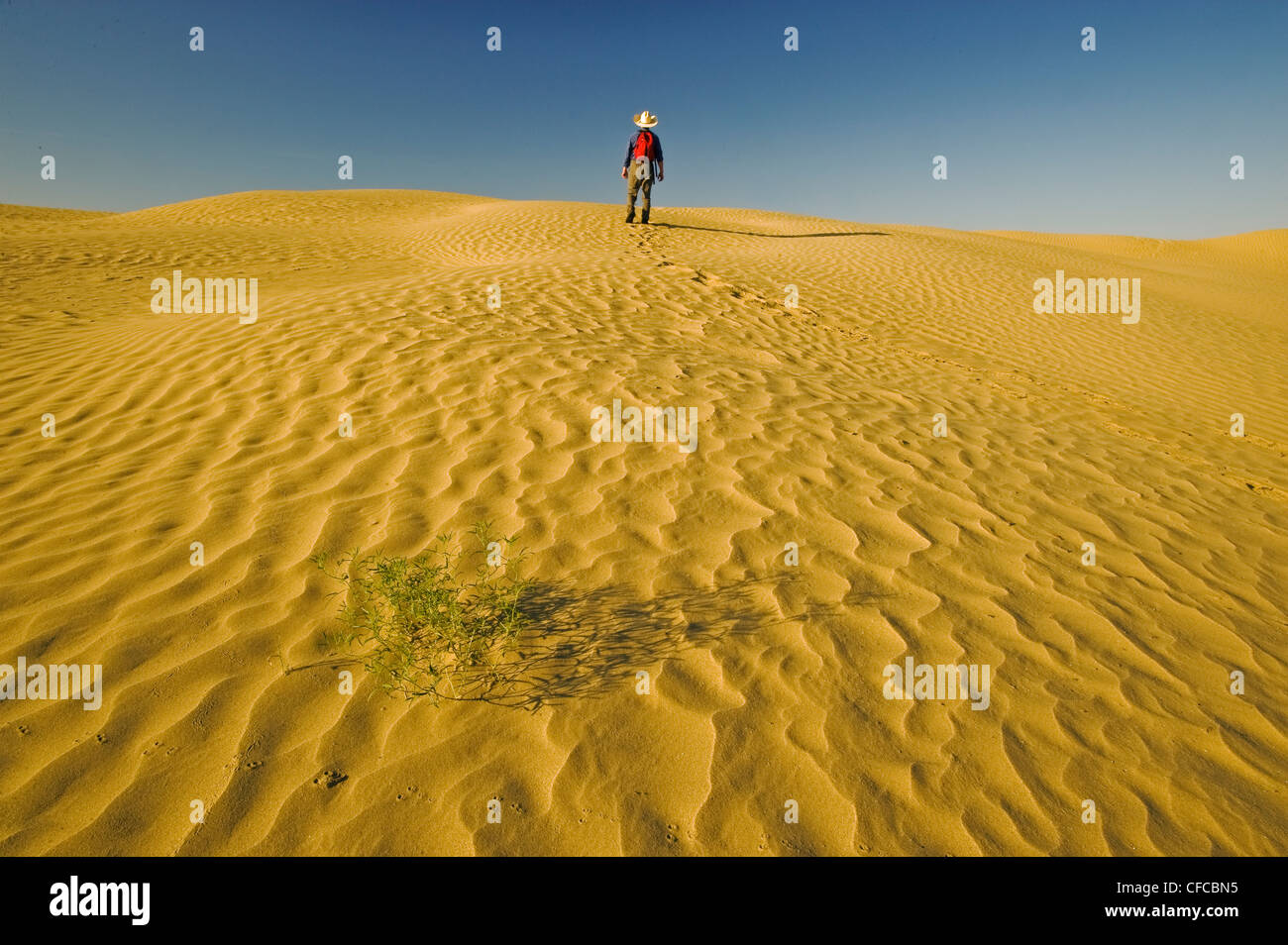 hiking in the Great Saskatchewan Sandhills, near Sceptre, Saskatchewan ...