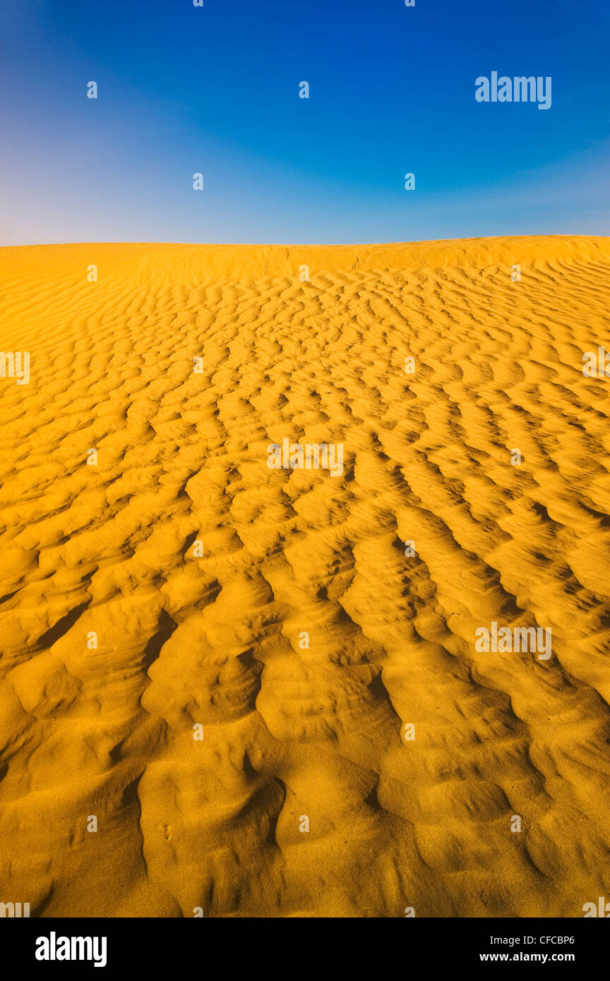 the Great Sandhills, near Sceptre, Saskatchewan, Canada Stock Photo - Alamy