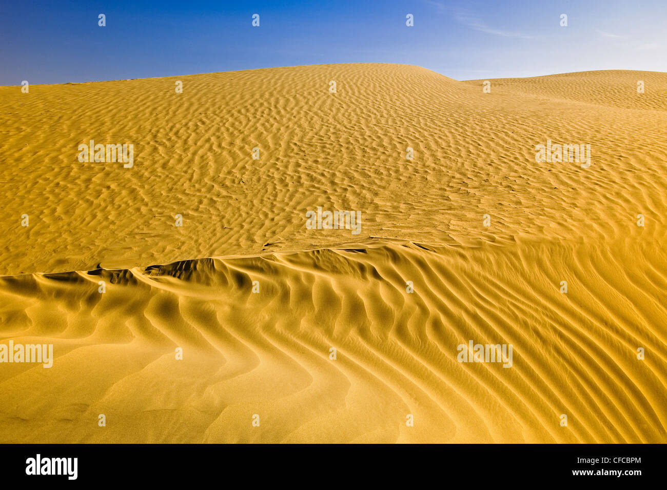 Sceptre Saskatchewan High Resolution Stock Photography and Images - Alamy