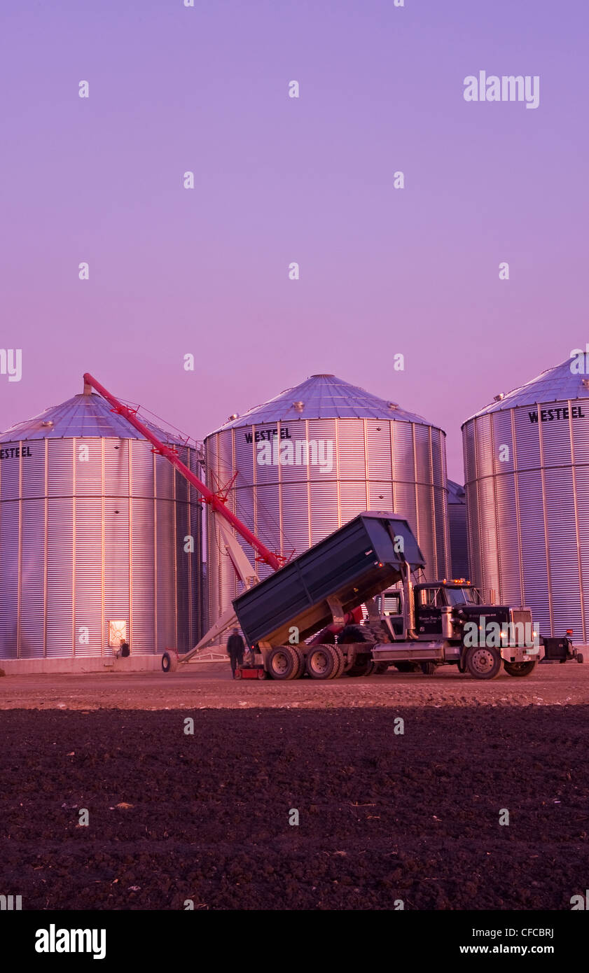 Grain Bins And Auger High Resolution Stock Photography and Images - Alamy