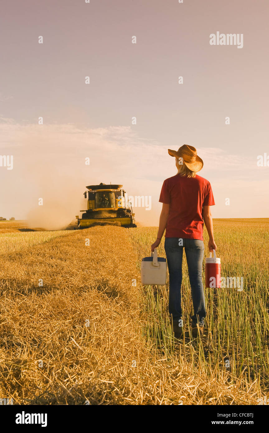 a teenage farm brings supper to a combine operator during the canola ...
