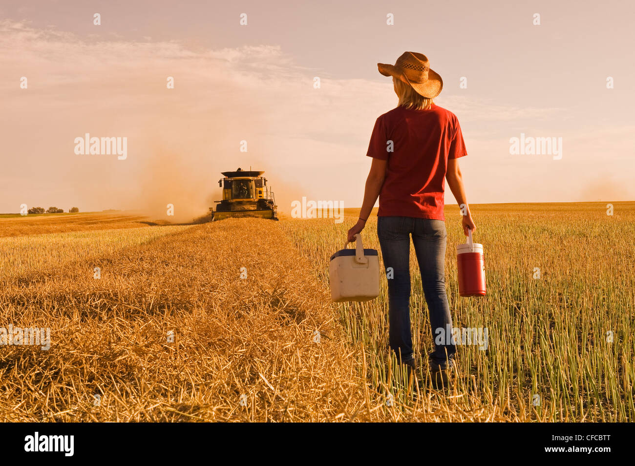 a teenage farm brings supper to a combine operator during the canola ...