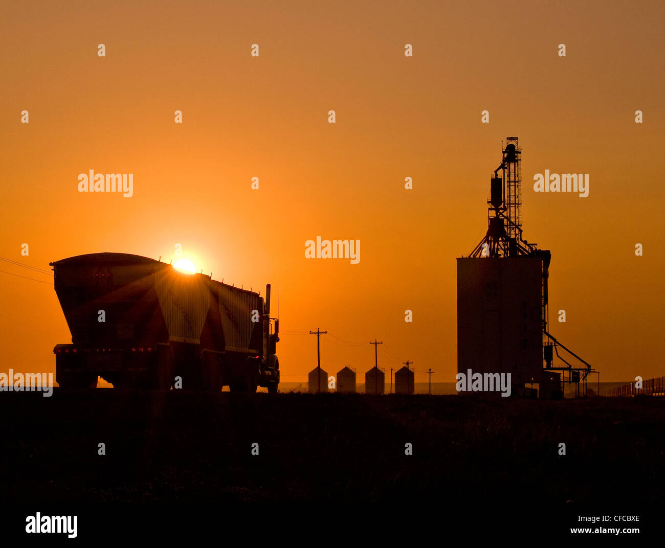 a grain truck on its way to delivery product at sunrise, inland grain ...