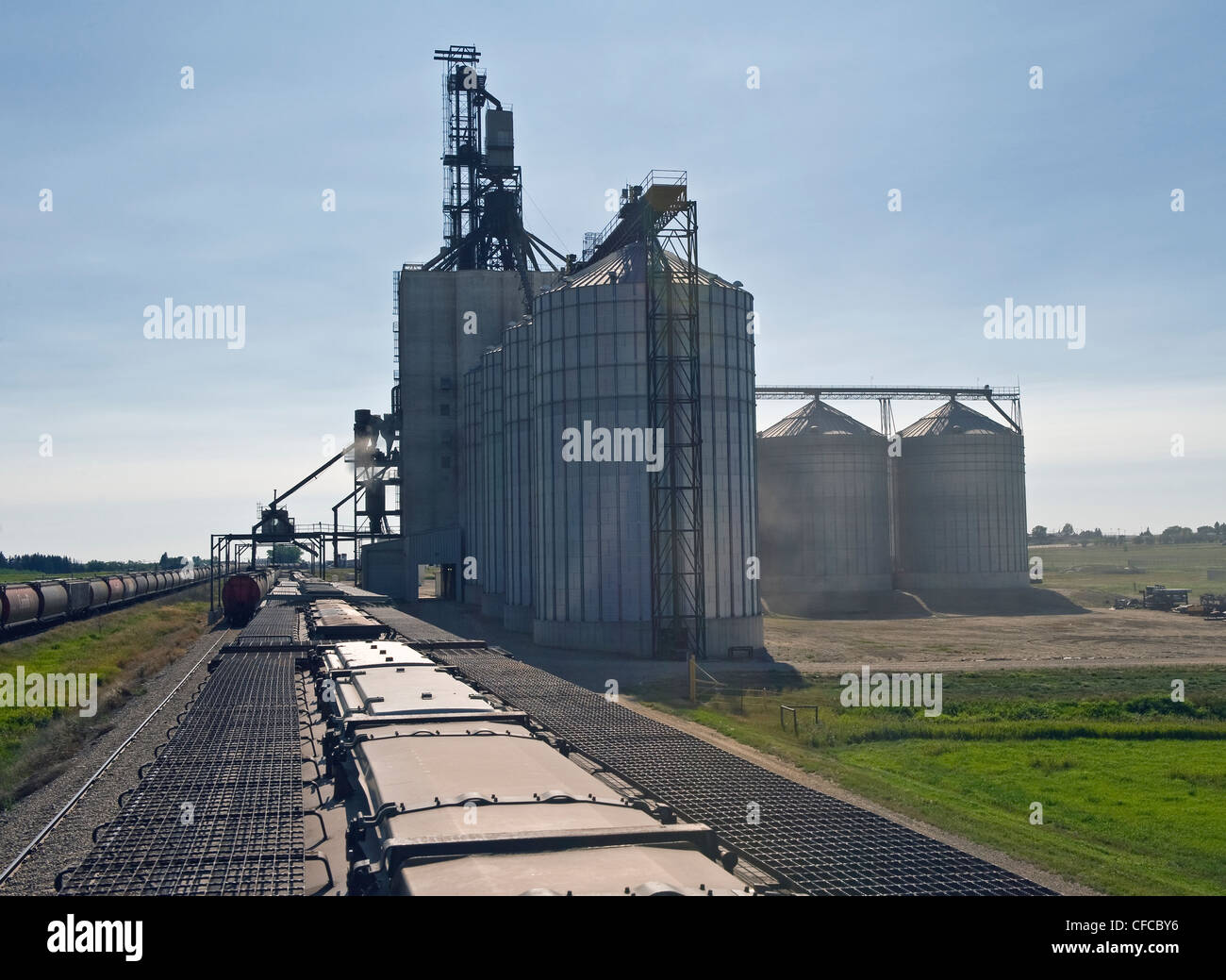 loading grain at inland grain terminal, Swift Current, Saskatchewan ...