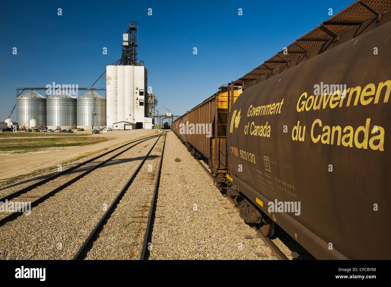 loading grain at inland grain terminal, Swift Current, Saskatchewan ...