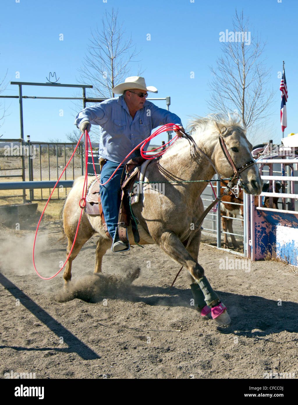 Team roping event in a small west Texas town Stock Photo - Alamy