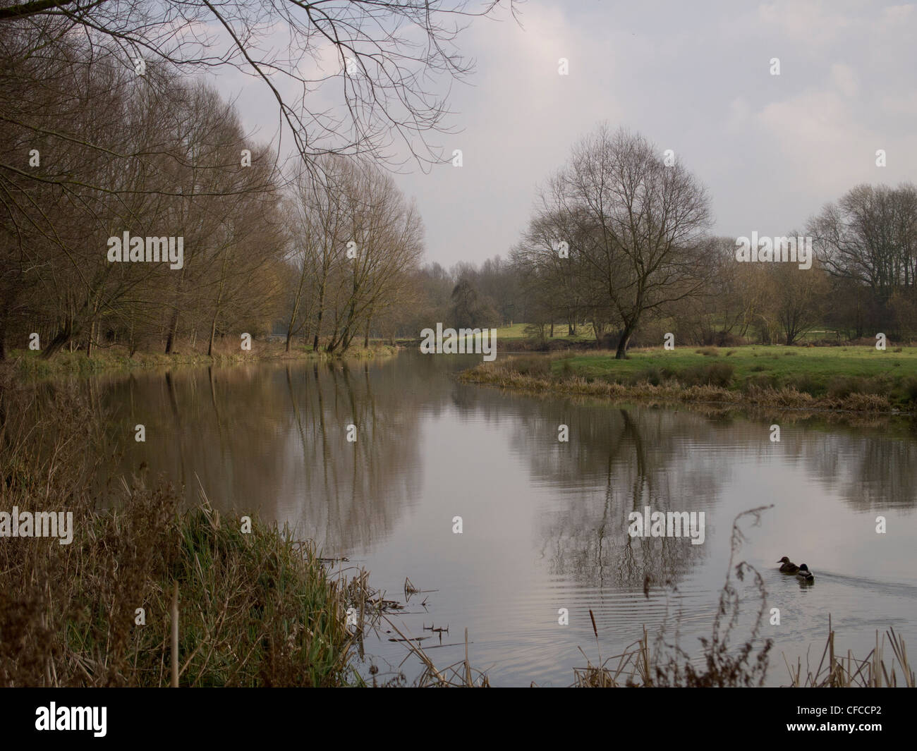 The River Stour in Suffolk, England Stock Photo - Alamy