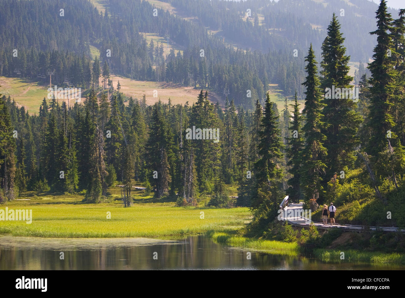 Mount Washington Paradise Meadows popular hiking Stock Photo - Alamy