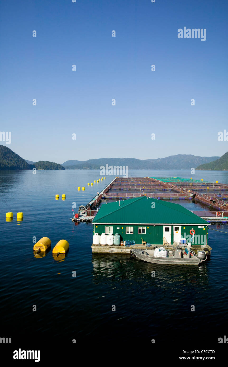 Canada fish farm hi-res stock photography and images - Alamy
