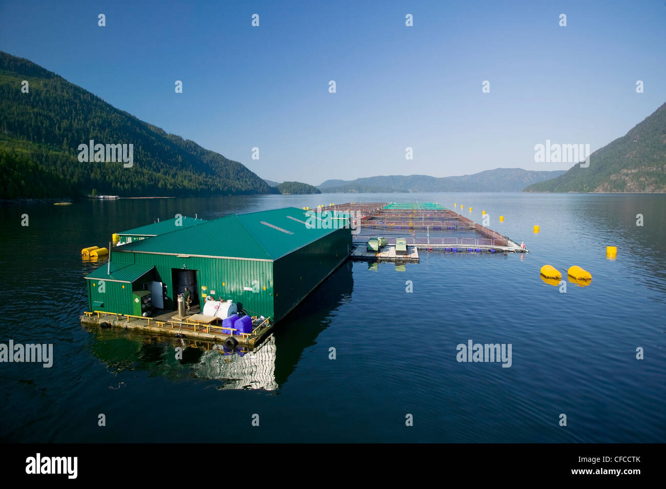North atlantic salmon farm hi-res stock photography and images - Alamy