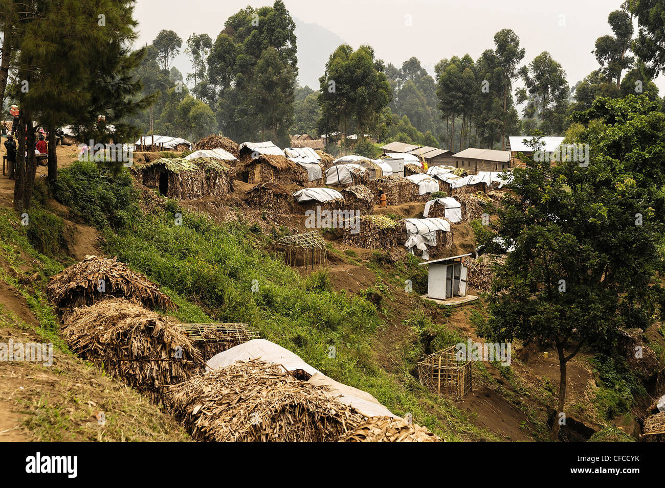 Masisi hi-res stock photography and images - Alamy