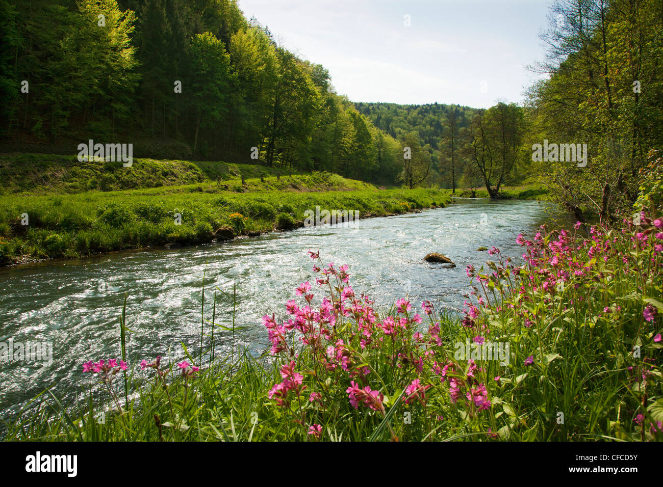 Wiesent hi-res stock photography and images - Alamy