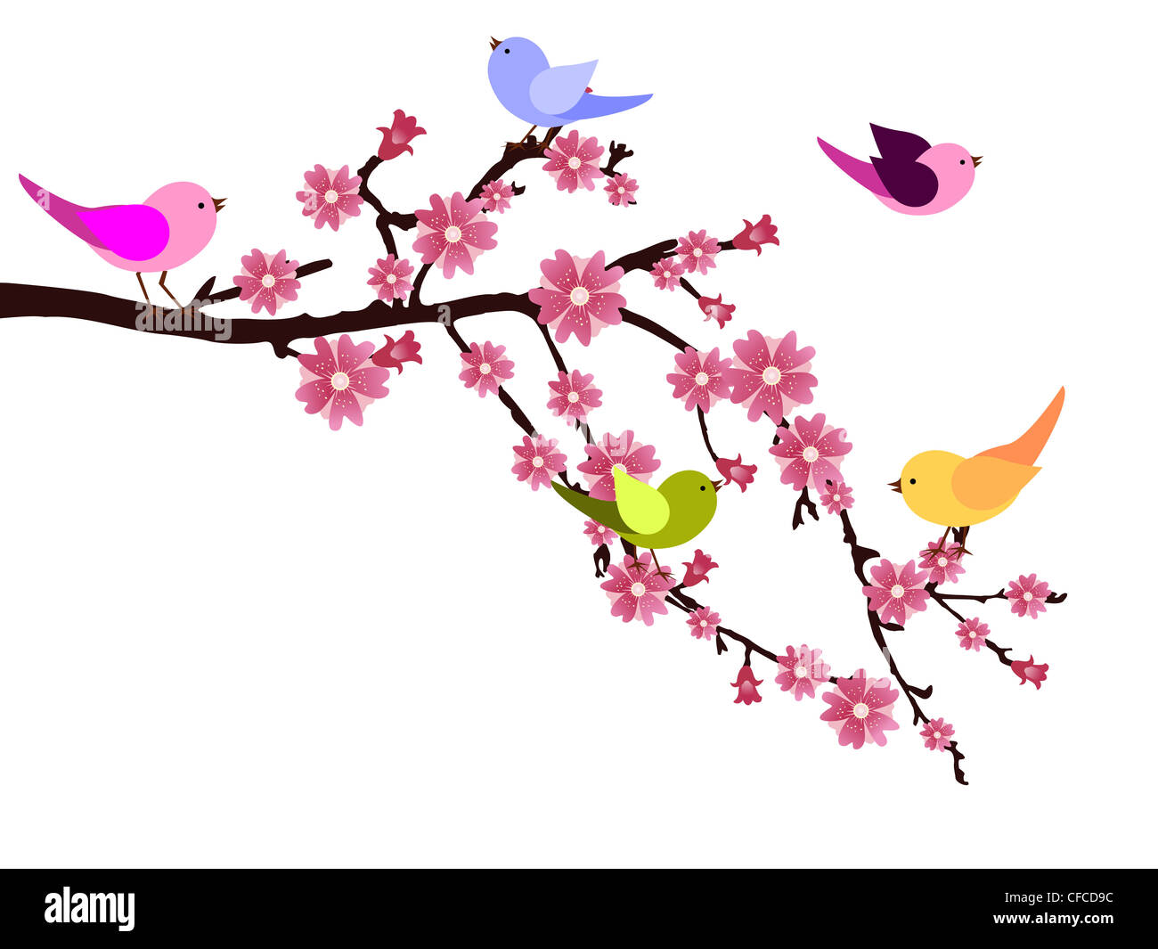Bird branch Cut Out Stock Images & Pictures - Alamy
