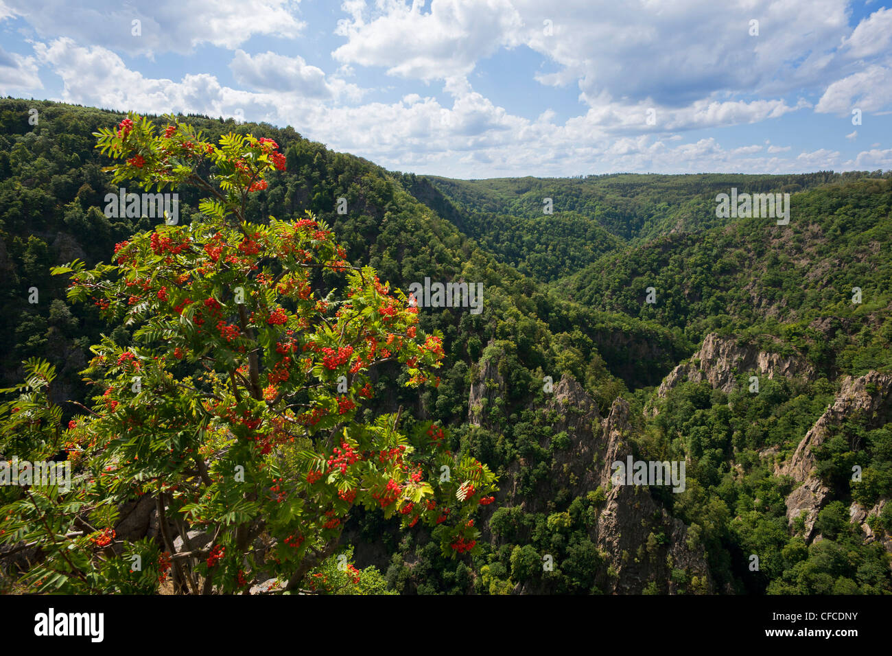 View from Rosstrappe rock over the Bode valley near Thale, Harz ...