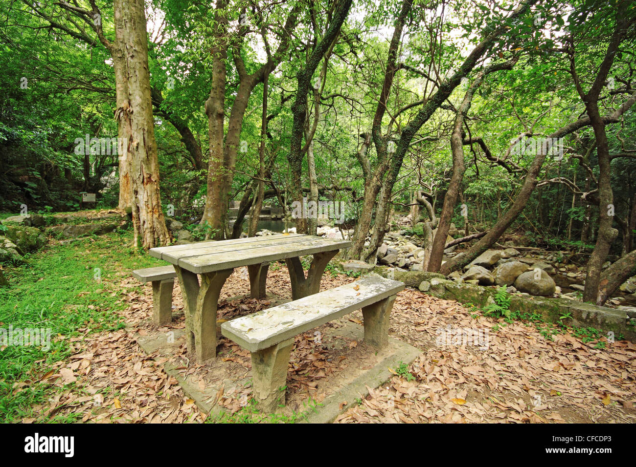 Picnic place in forest Stock Photo - Alamy