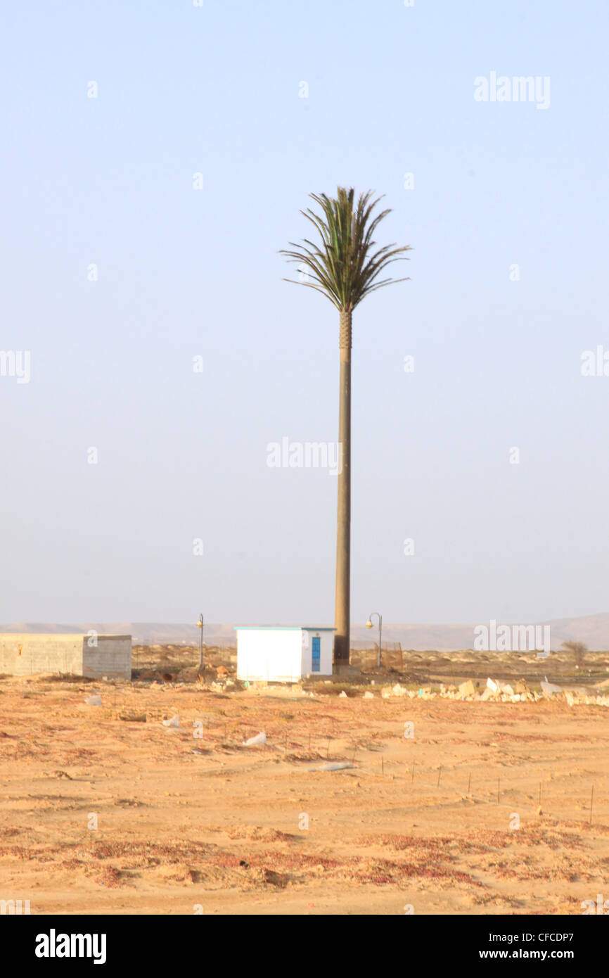 Mobile phone mast disguised as a Palm tree, Cape Verde Stock Photo - Alamy