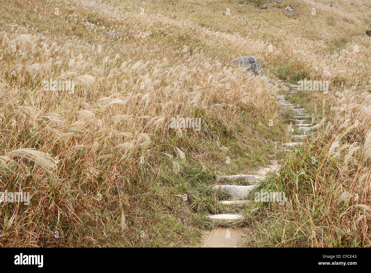 Stone path in the mountains Stock Photo - Alamy