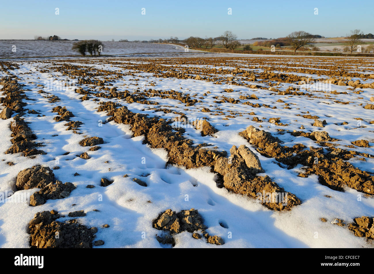 Ploughed field in winter with snow, Norfolk, UK Stock Photo - Alamy