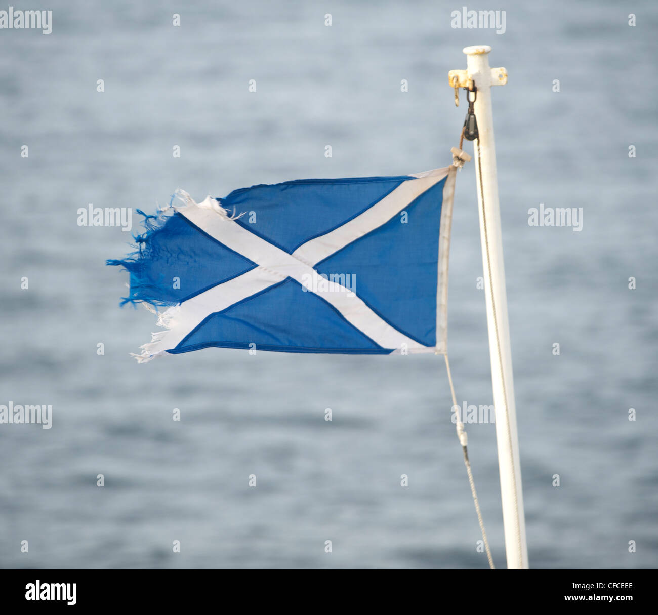 Saltire Flag High Resolution Stock Photography and Images - Alamy